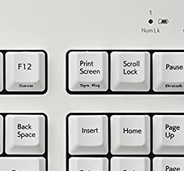 キーボードにある「Print Screen / Sys Rq」ってなに？ | ハロー！パソコン教室 日吉・中山とうきゅう ブログ